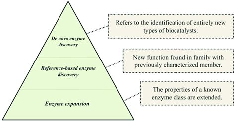 Hierarchical Structure Of Metagenomics Enzyme Discovery Download