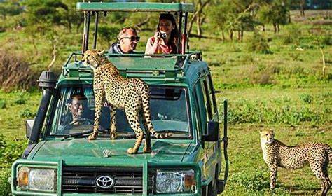აფრიკა ფოტოსურათები რომელიც აფრიკაში ცხოვრების დემონსტრირებას ახდენს