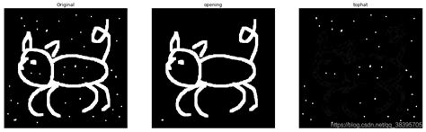 opencv python：16 形态学处理【二】（开操作、闭操作、形态学梯度、顶帽变换、黑帽变换，去除皮肤镜中的毛发噪音、cv2