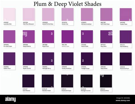 Color Palette 26 Plum And Deep Violet Shades 3d Light Soft To Deep Dark Purple Tones With