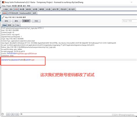 pikachu靶场通关技巧详解 csdn博客