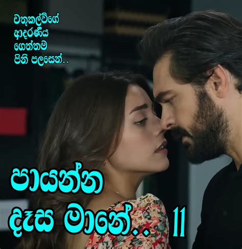 පිනි පලස පායන්න දෑස මානේ 11 🪻 අයියෝ දැන් මොකද කරන්නේ අද රෑ එයාගේ කෑම ලිස්ට් එකේ තියෙන්නේ
