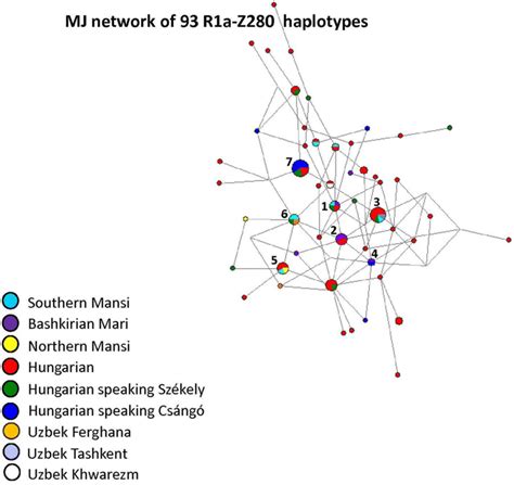 Median Joining Networks Mj Of 93 R1a Z280 Haplotypes Constructed The Download Scientific