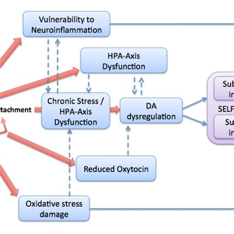 Pdf Attachment Neurobiology And Mentalizing Along The Psychosis