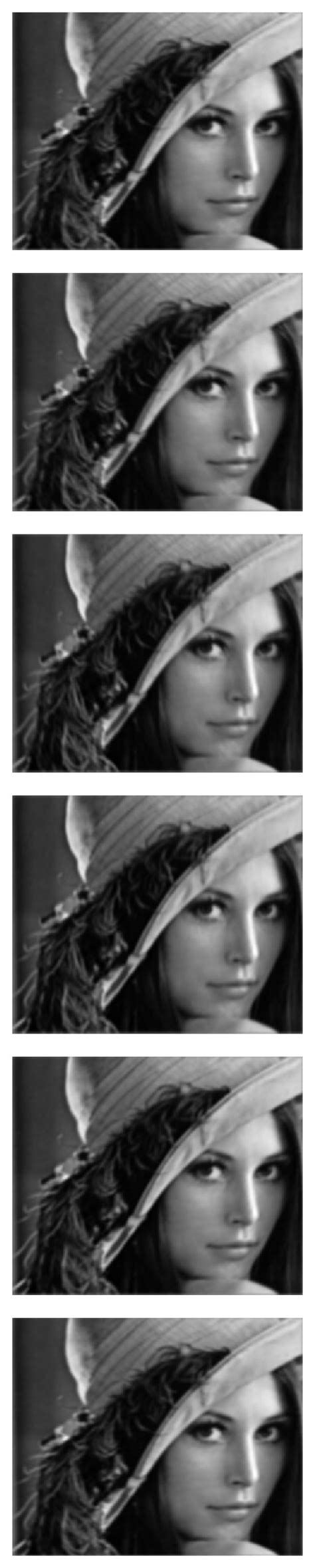 2d Separable Complex Valued Coefficients Gabor Filterbank Results With Download Scientific