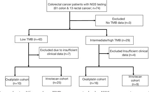 Figure 1 From Correlation Of Tumor Mutational Burden And Treatment Outcomes In Patients With