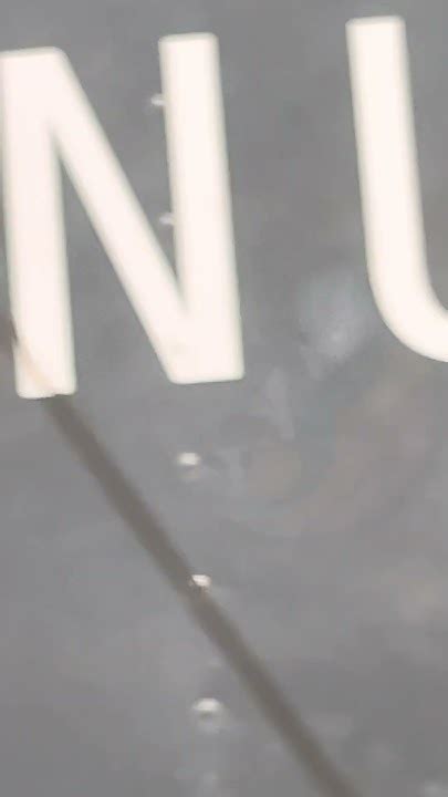 Giggle Saurus Youtube