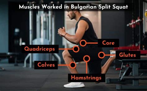 Bulgarian Split Squats How To And Common Mistakes