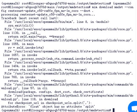 Mim Download Mmdet Config Xxxxx Dest 报错 · Issue 10268 · Open