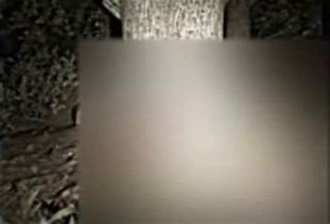 County Incident Report Wiki SCP Foundation Amino