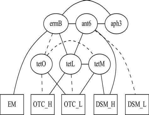 Initial Optimal Additive Bayesian Network Model Identified Download Scientific Diagram