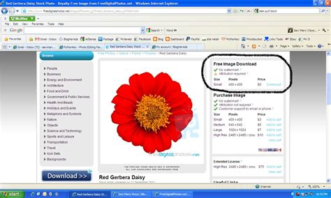 Sew Many Ways Blogging Tipadd A Favicon For Blogger With No Html