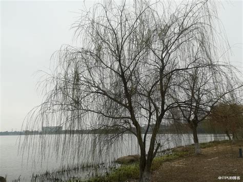 Sap Sd基础知识之sd常用bapi 大数据 亿速云