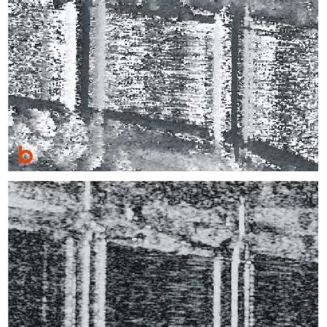 A C Insar Data Magnification Of Lower Part Of Figure 1 With Two Download Scientific Diagram