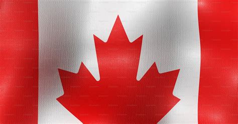 빨간 단풍잎이 달린 캐나다 국기 사진 Unsplash의 벽지 이미지