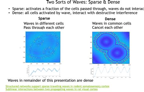 Comp Neuro Cognition And Ai Uni Of Nottingham R Compmathneuro