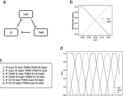 Example Of A Fuzzy Logic Based Model Representing The Repressilator An Download Scientific
