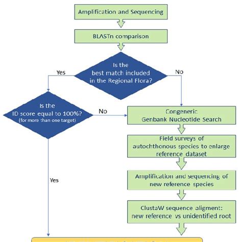Root Identification Workflow Download Scientific Diagram