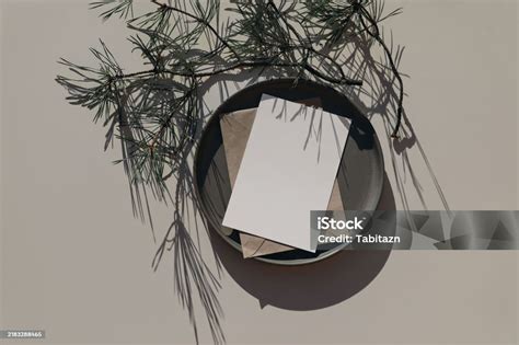 크리스마스 인사말 카드 모형 겨울 문구류 햇빛에 소나무 가지가 있는 세라믹 접시에 있는 백지 초대장 긴 그림자 베이지 색 테이블 배경 축제 휴일 플랫레이 평면 전망 0명에