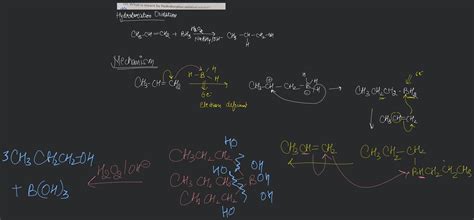 10 What Is Meant By Hydroboration Oxidation Reaction Filo