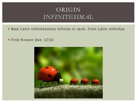 Infinitesimal Definition