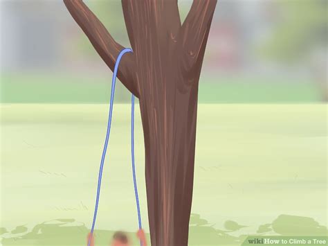 How To Climb A Tree With Pictures WikiHow