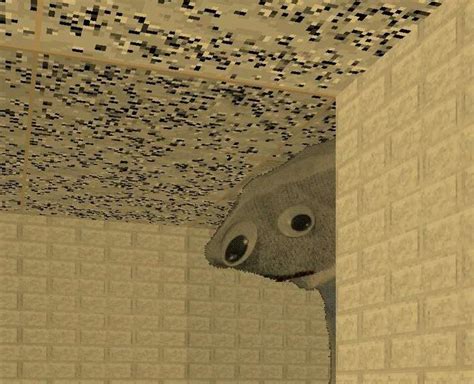 Baldis Basics Classic Remastered Tips And Tricks That Works For Null