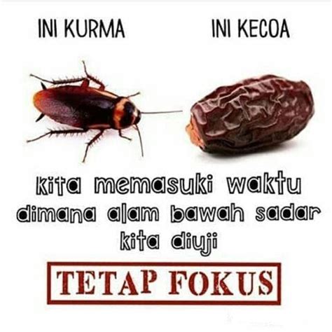 Ngakak! Meme Puasa Lucu: Halusinasi Lihat Kecoa Jadi Mirip Kurma, Viral ...