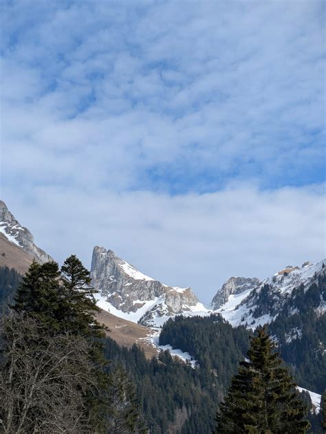 Kassandre Pedro Photography