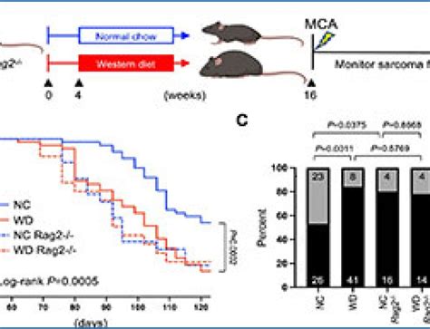 Comparison Of Atopic Dermatitis Transcriptome Profiling By Microarray