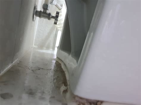 베란다 하수구 냄새 세탁실 배수구 날파리 차단 트랩악취 네이버 블로그 베란다 하수구 냄새 세탁실 배수구 날파리 차단 트랩악취 네이버 블로그