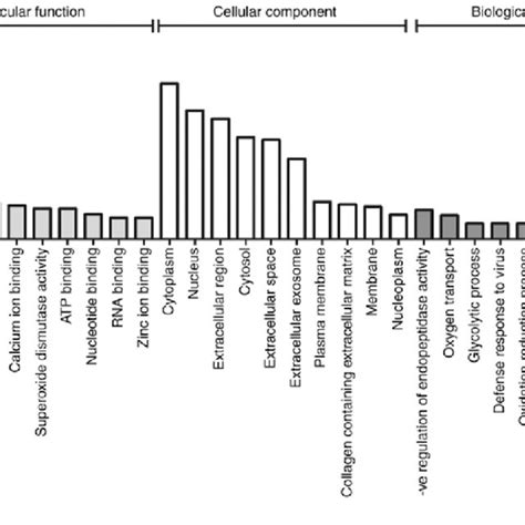 Functional Classification By Gene Ontology Go Analysis Of Proteins