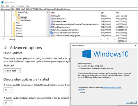 Known And Resolved Issues For Windows 10 May 2019 Update Version 1903 Page 38 Windows 10 Forums