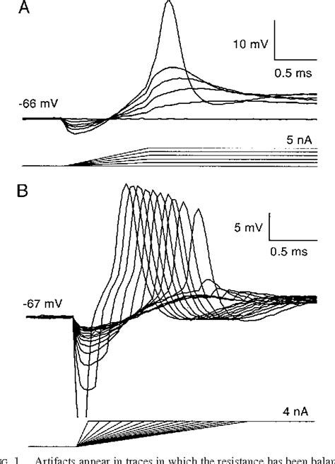 Figure 1 From Octopus Cells Of The Mammalian Ventral Cochlear Nucleus Sense The Rate Of