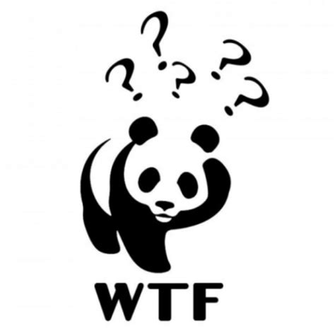 Vulkan Update Version 12 Conformance For Raspberry Pi 4 Raspberry Pi