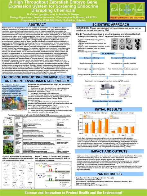 A High Throughput Zebrafish Embryo Gene Expression System