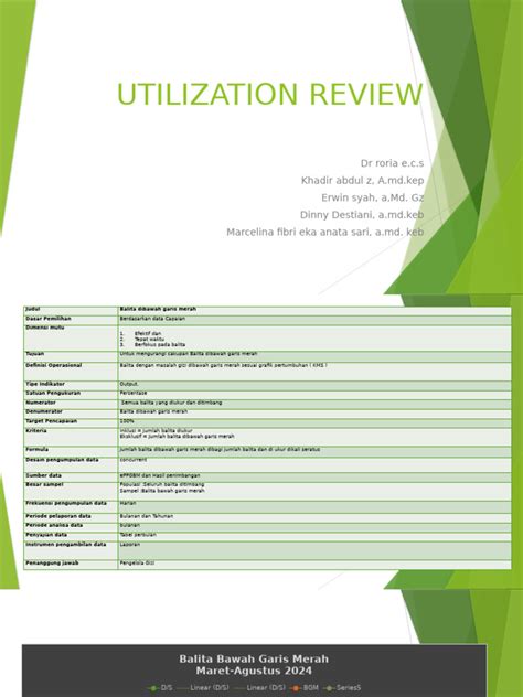 Utilization Review Pdf
