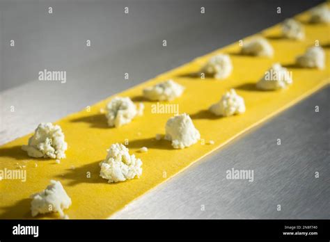 Preparing Fresh Made Ravioli With Ricotta Cheese Inside Pasta Factory
