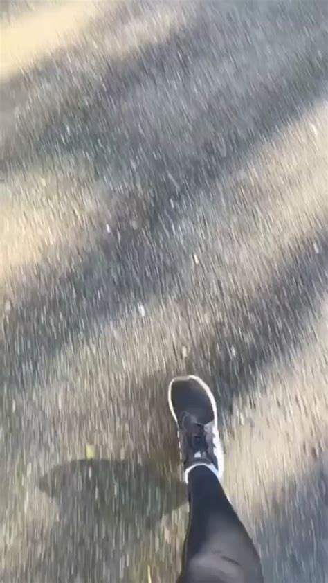 Cats Are So Unpredictable Rwhatswrongwithyourcat