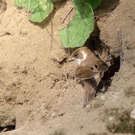 Hannah Stitfall Hannah Stitfall Added A New Photo — In