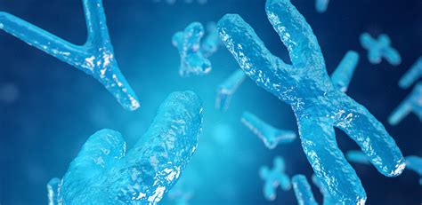 One In 500 Men Carry Extra Sex Chromosome Putting Them At Higher Risk