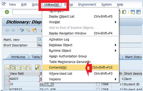 step by step guide creating a maintenance view in sap abap