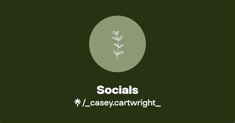 Socials Instagram Tiktok Linktree