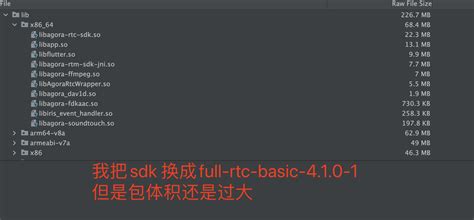 包体积过大 Issue AgoraIO Extensions Agora Flutter SDK GitHub