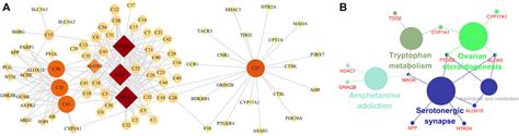 Integrated Analysis Of Comprehensive Metabolomics And Network