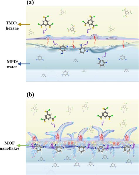 Figure 1 From Ultra Selective Polyamide Membrane From Metal Organic Framework Assembly Regulated