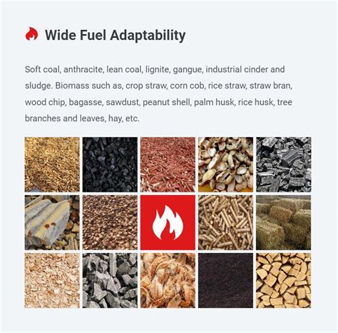 Biomass Fired Steam Boiler Steam Masters