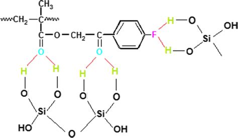 H Bonds Formation Between Sio2 And Pfpama Download Scientific Diagram