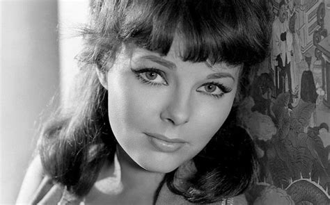 Anne Helm Net Worth And Her Hollywood Career