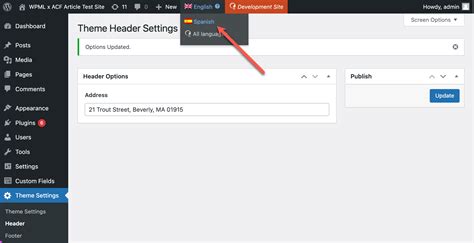 Translating The Acf Options Page Custom Fields With Wpml Wpml